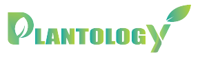 Plantology - Plantology